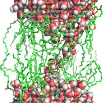 Gromacs/mac/win分子动力学软件模拟