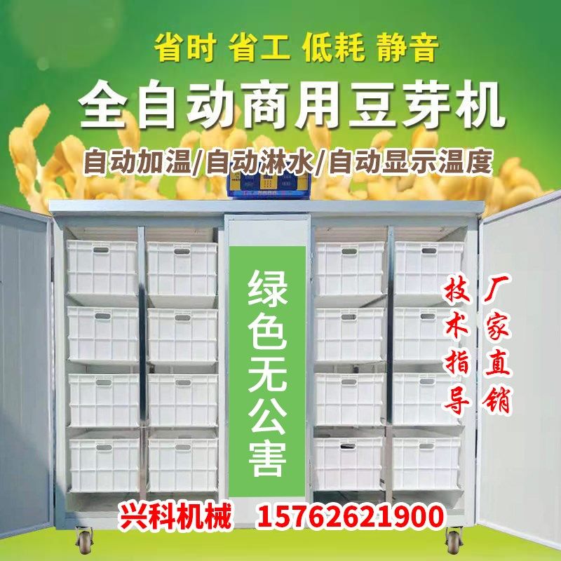 大型豆芽机d商用全自动豆芽机 300型加强款豆芽机