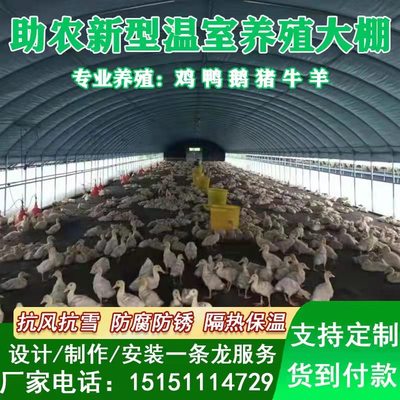 养殖大棚全套骨架钢管牛棚羊圈养猪场养鸡鸭鹅棚搭建温室蔬菜大棚