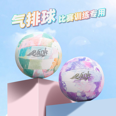 VADK气排球比赛训练专用中小学生5号气排球大学生中老年人7号软排