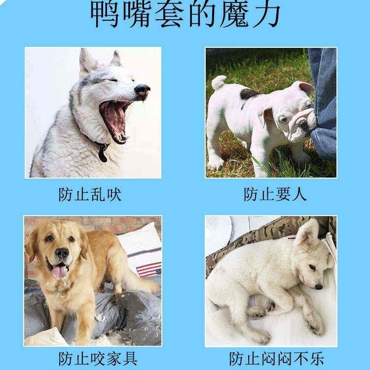 宠物鸭嘴套狗狗外出防叫防咬出门防误食小中型犬硅胶卡扣外出嘴套