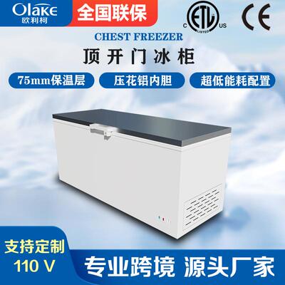 商用大容量储存冷冻柜顶开门卧式冰柜速冻柜出口款CE/ETL认证可定