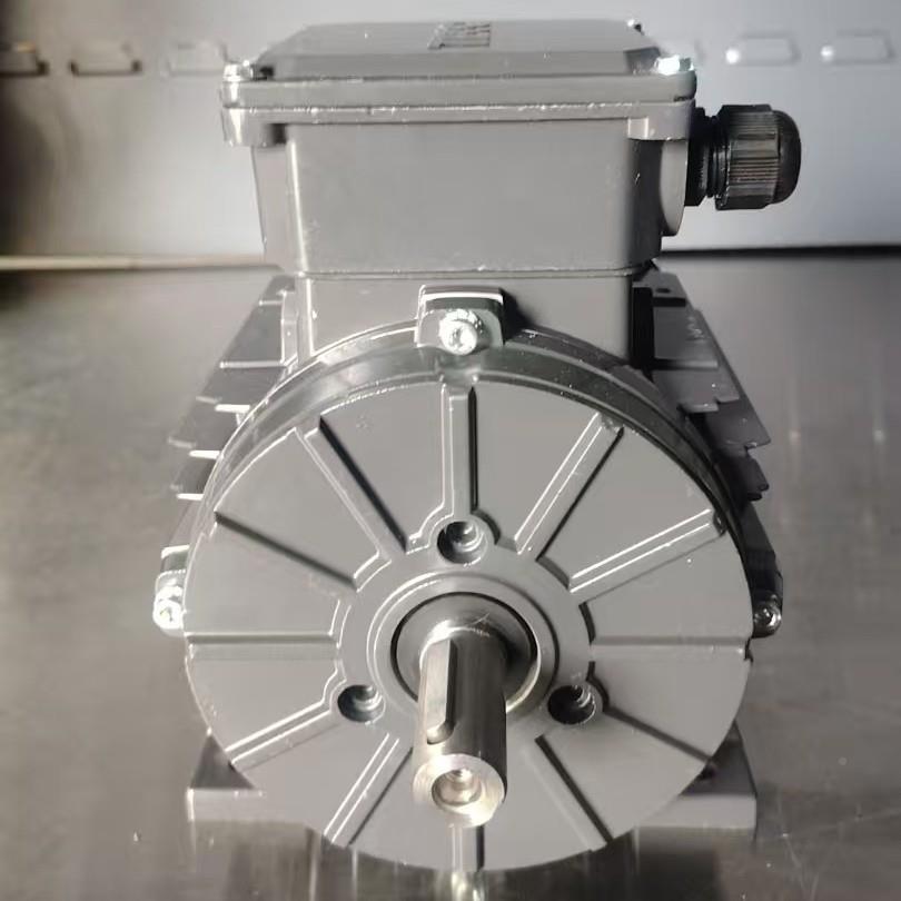B元铝壳机 0.75KW 391东HP电 4P 3 TECO 东元电机 库存现货 正品