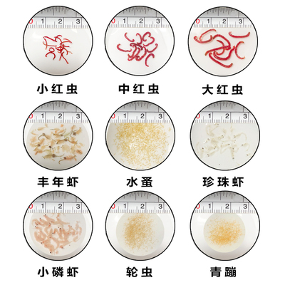冷冻红虫冰冻血线虫牛心汉堡丰年虾干鹦鹉罗汉七彩神仙龙鱼食饲料