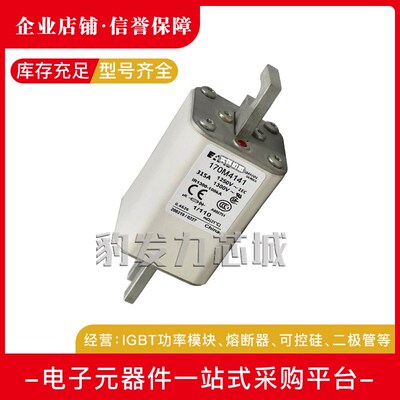 170M4138/4139/4140/4141/4142/414/4144/4145/4146/4147熔断器