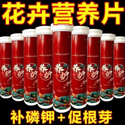 八个老头植物营养缓释片肥料氮磷钾种花养花肥家用果蔬盆栽花肥料