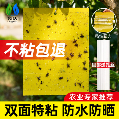 粘虫板大棚专用黄板蓝板双面小黑飞果蝇诱捕器家用果园诱虫板贴纸