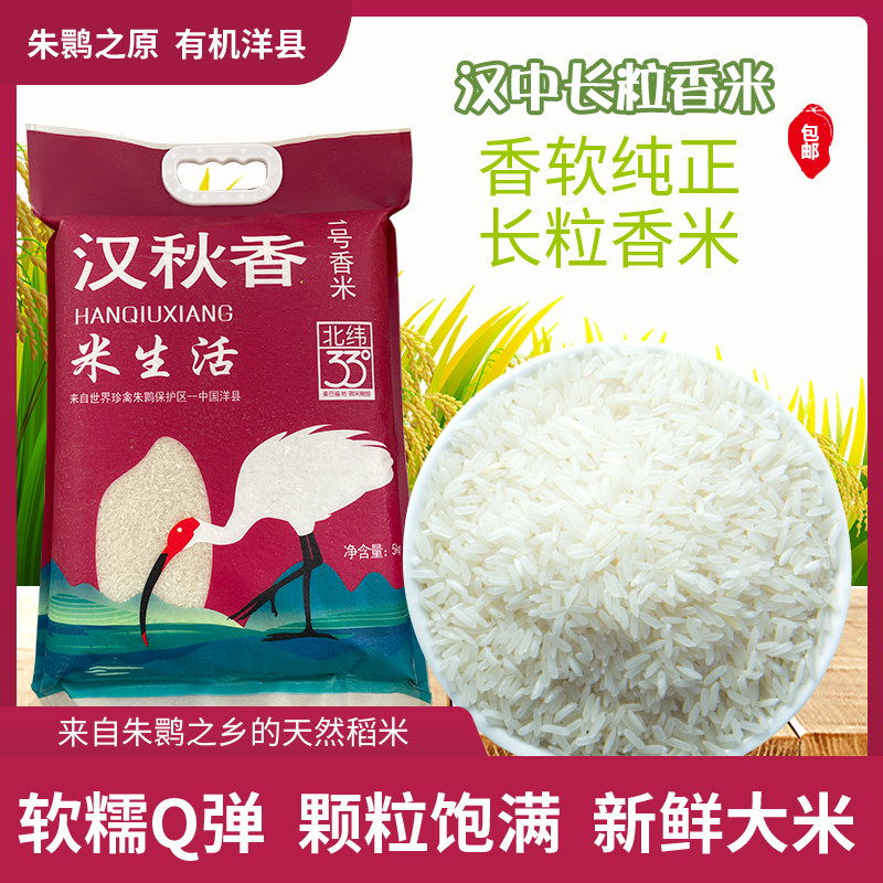 长粒香米5斤/10斤丝苗米猫牙米煲仔饭大米新米现磨现发批发