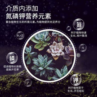 花彩师营养土家庭阳台室内种植有机蔬菜种蔬菜的土育苗专用培养土