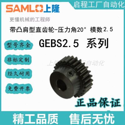 上隆原装带凸肩型直齿轮-压力角20°模数2.5 GEBS2.5-12-B25-P/N8