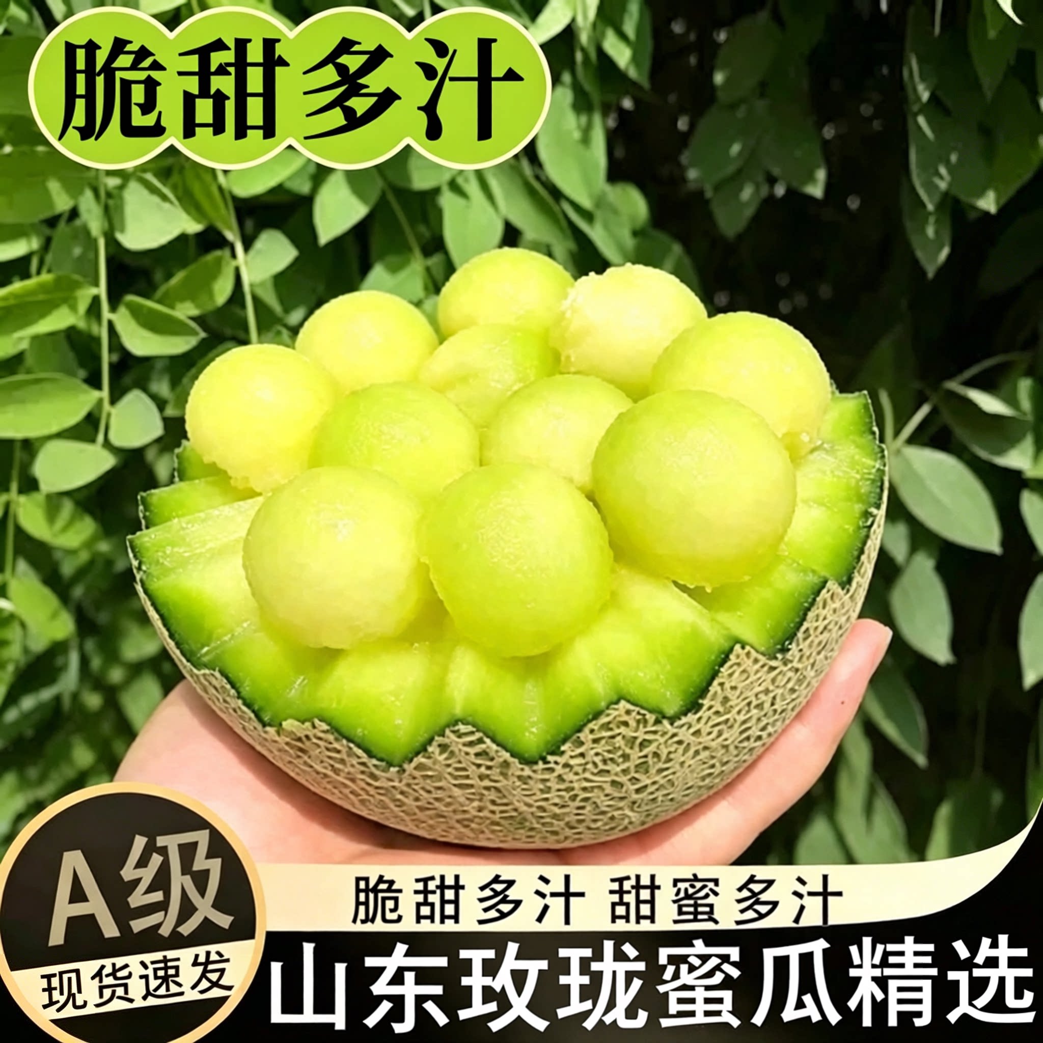 [秒杀]山东冰淇淋网纹蜜瓜新鲜水果当季晓蜜哈密瓜