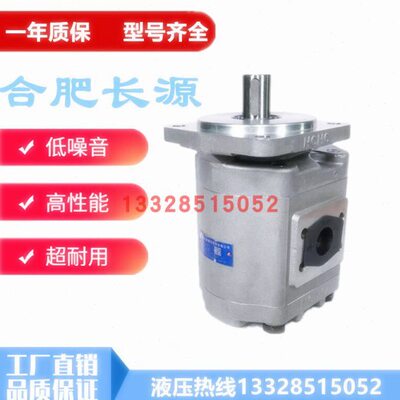 合肥长源齿轮泵CBGZ2100/2080/2063/2050/2040/2032-BLP/BLH/BLXL