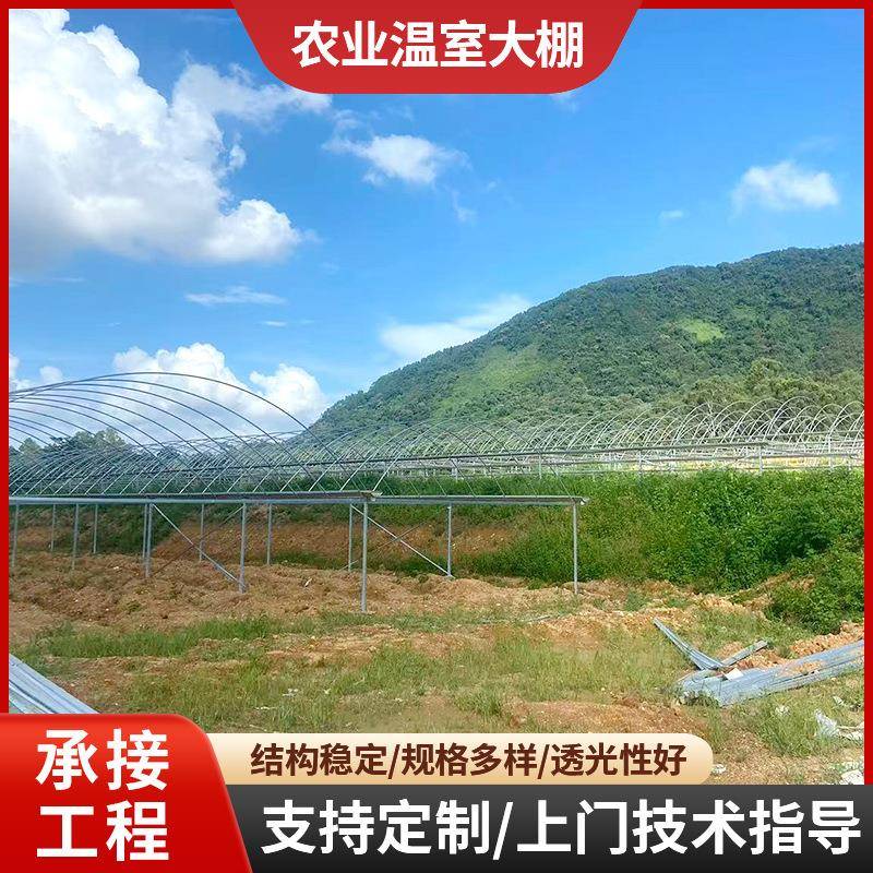 农业种植连栋大棚智能连栋薄膜温室蔬菜大棚连栋大棚温室大棚