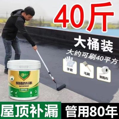 防水胶补漏屋顶房顶裂缝漏水渗水材料楼顶堵漏王雨补虹防水涂料