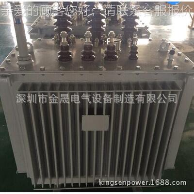 SS11-M-319/S1油式电力变1压器1厂 家 S11-M-315KVA纯铜10.5/0.41