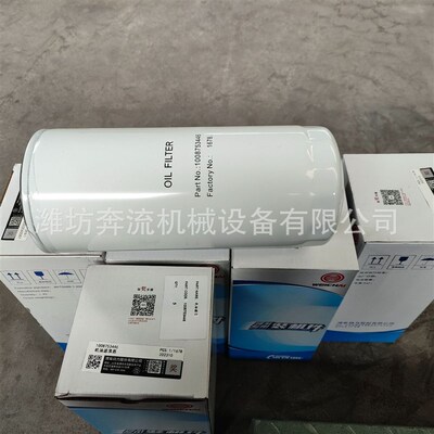 1000491060 机油滤芯 潍柴机滤芯 潍柴锐动力扬柴原厂机油滤芯