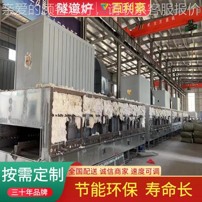 橡胶跑道硫隧道炉橡化胶泡发泡热风化炉设备BLH-SDL-橡胶发板硫硫