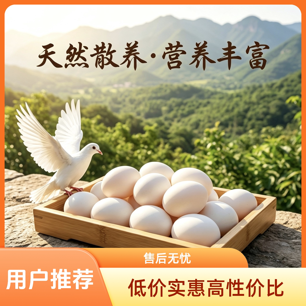河北农家散养鸽蛋天然营养丰富无抗新鲜土鸽蛋后售后无忧