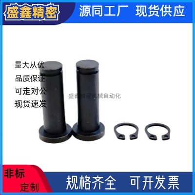 带肩铰链销MIC01-D3-10