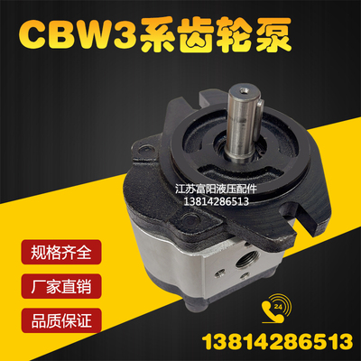 齿轮泵油泵CBW-F310/314/316-ALP