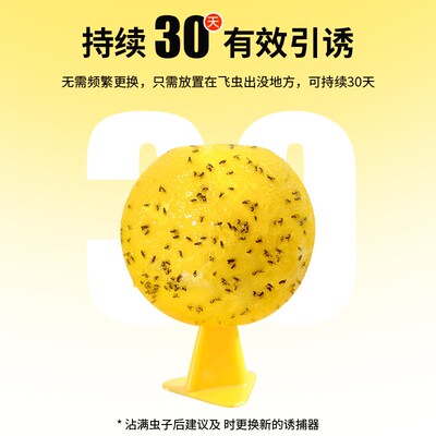 果蝇诱捕器小飞虫灭杀神器室内去除飞虫克星厨房粘蠓虫球杀蝇饵剂