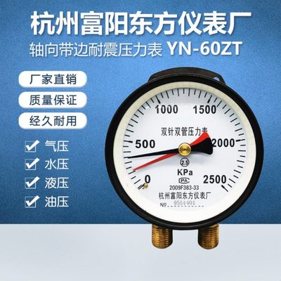 杭州富阳东方YZS-102双针双管压力表火车铁路铁轨船用汽修M16双路