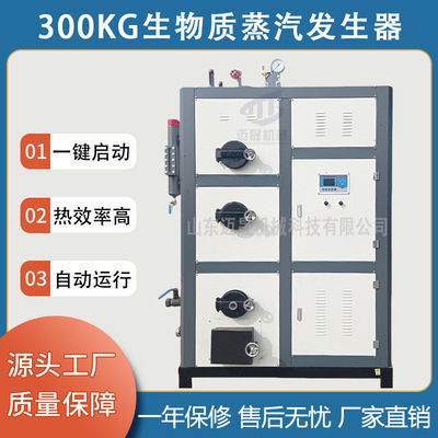0.3T豆制品用蒸汽机 食品加工颗粒蒸汽锅炉 生物质颗粒蒸汽发生器