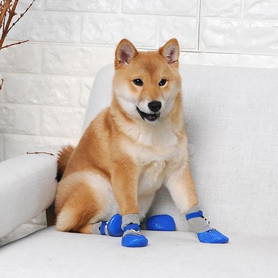 宠物防掉袜子 小型犬室内防滑防水袜 泰迪比熊幼犬保暖防刮花防脏