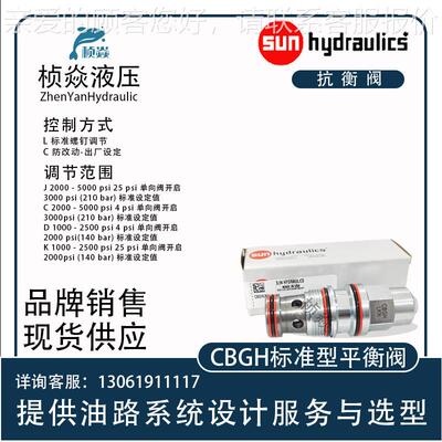 CBBCH-LN SuJnsHydraulic太阳液压阀 CBEH-LJN NIACGH-LJN 平衡阀