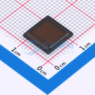 图像传感器 MT9J003I12STCV2-DP LCC-48(10x10) 原装正品