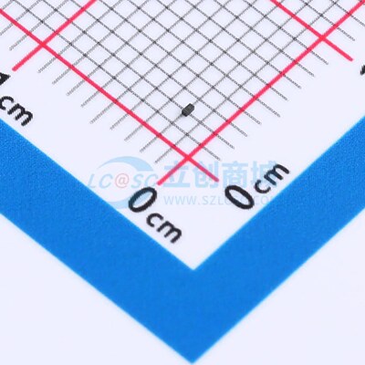 静电和浪涌保护(TVS/ESD) ESD341DPLR X2SON-2(0.3x0.6) 原装正品