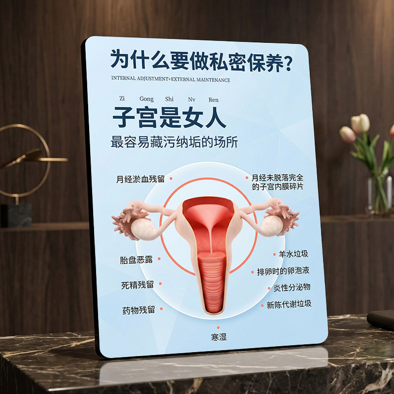 私密保养科普美容院店内宣传桌面摆件