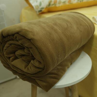 冬季卡色牛奶天鹅绒单张床单单张珊瑚天鹅绒床单床上用品高端毛绒