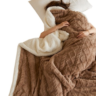 塔肤绒羊羔绒毛毯冬季加厚珊瑚绒小毯子保暖午睡毯沙发盖毯铺床垫