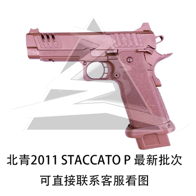 北青2011P版 C2 XC STACCATO 青武酷电动模型配件软蛋玩具滋水枪