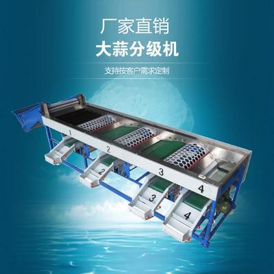 大蒜分级机大蒜选果机独头蒜分选机洋葱分级机生产厂家