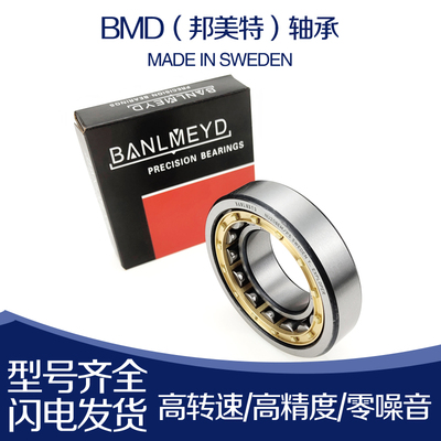 瑞典BMD进口圆柱滚子轴承NU260/304/305/306/307/308/309/310M/P5