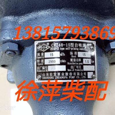 CWZ40-15型船用卧式自吸离心泵潍坊斯太尔道WD615依茨海水泵40-15