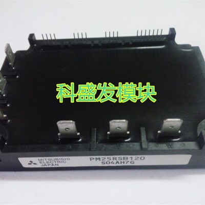 PM25RSB120   PM25RHB120 保上机