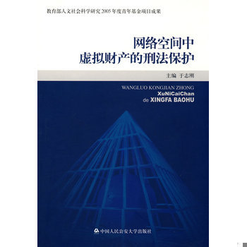 库存绝版书网络空间中虚拟财产的刑法保护H39115 9787811393002 于志刚主编 中国人民公安大学出版社