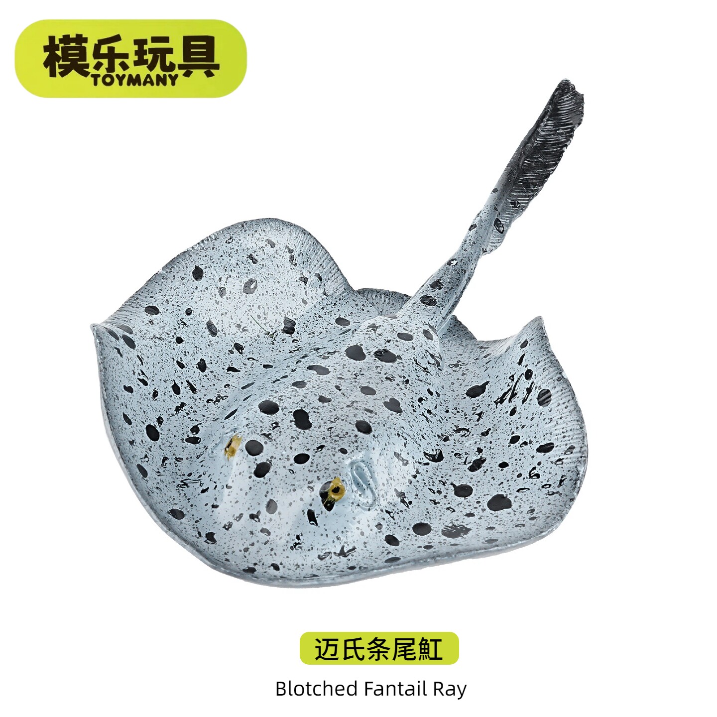 模乐玩具TOYMANY迈氏条尾魟迷你海洋生物系列仿真动物模型黑背鳐
