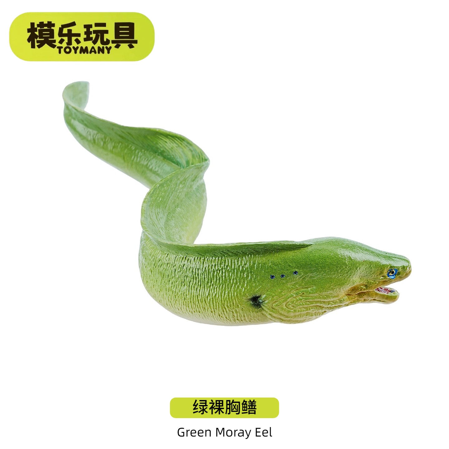 模乐玩具TOYMANY绿裸胸鳝鱼海鳗迷你海洋生物系列仿真动物模型