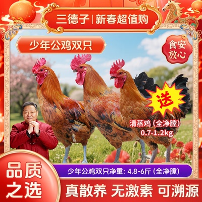 三德子少年雪山草鸡 农家粮食散养土鸡小公鸡生鲜整只鸡肉组合
