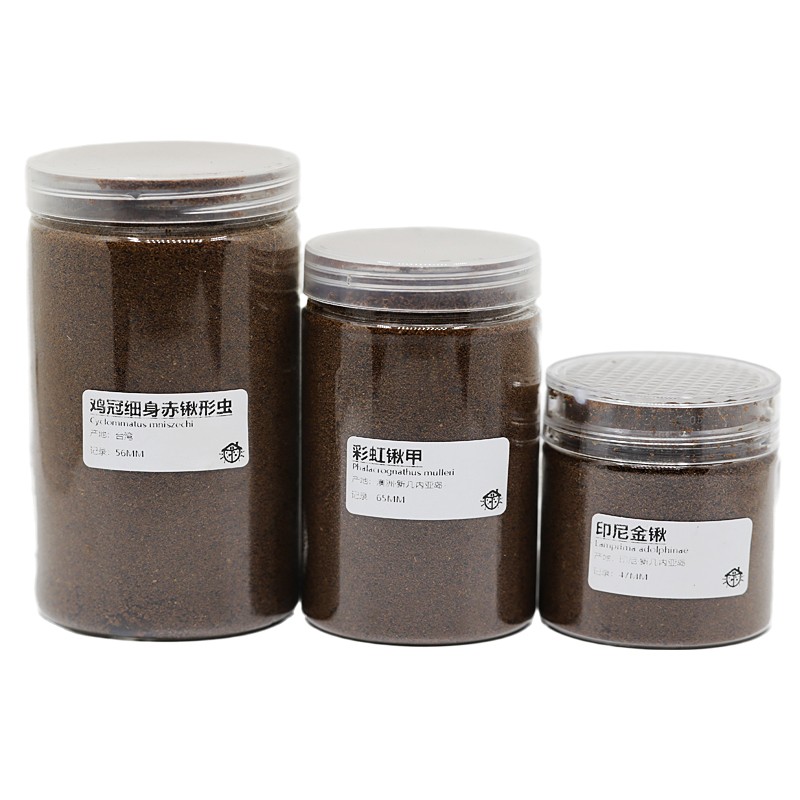 独角仙宠物甲虫饲养罐养殖瓶昆虫盒爬虫箱培育观察容器 新手套餐