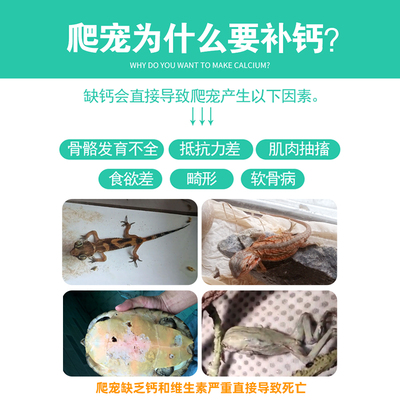 爬宠纳米维生素钙粉含D3蛇角蛙陆龟鬃狮蜥蜴守宫蛙补钙维生素BAC