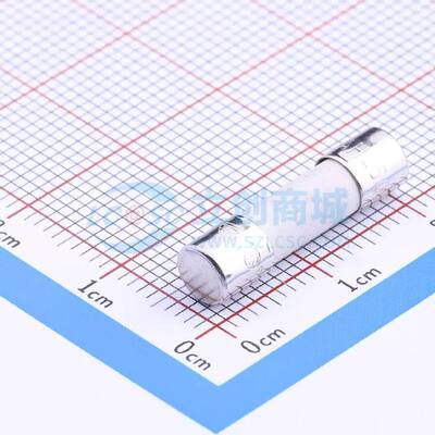 一次性保险丝 0215010.MXP D5.2xL20mm 原装正品