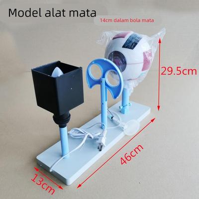 人体眼球仪模型3303晶状体曲率可变眼球成像结构教学仪器实验器材