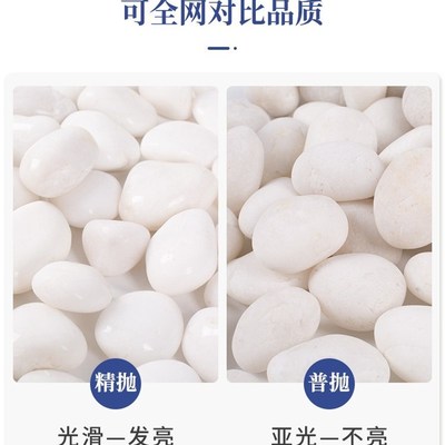 江西鹅卵石石头鹅卵石蛋雨花石抛光石子庭院造景铺路铺地造景石头