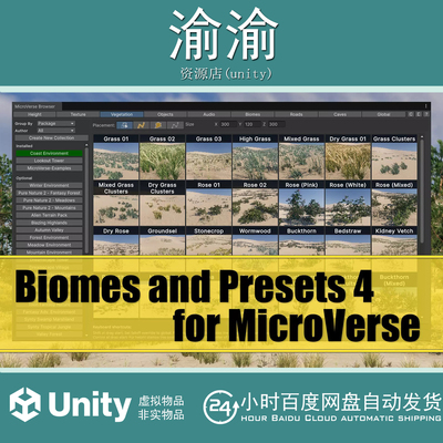 Unity Biomes and Presets 4 for MicroVerse 4.12.0 包更新