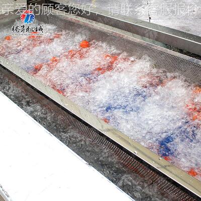 全自动水果清洗洗机果机蔬气泡菜草莓涡流喷淋机SQT气泡清洗制造